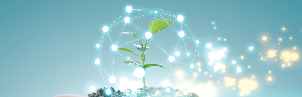 The Clean Energy Investment Landscape - Evolve ETFs