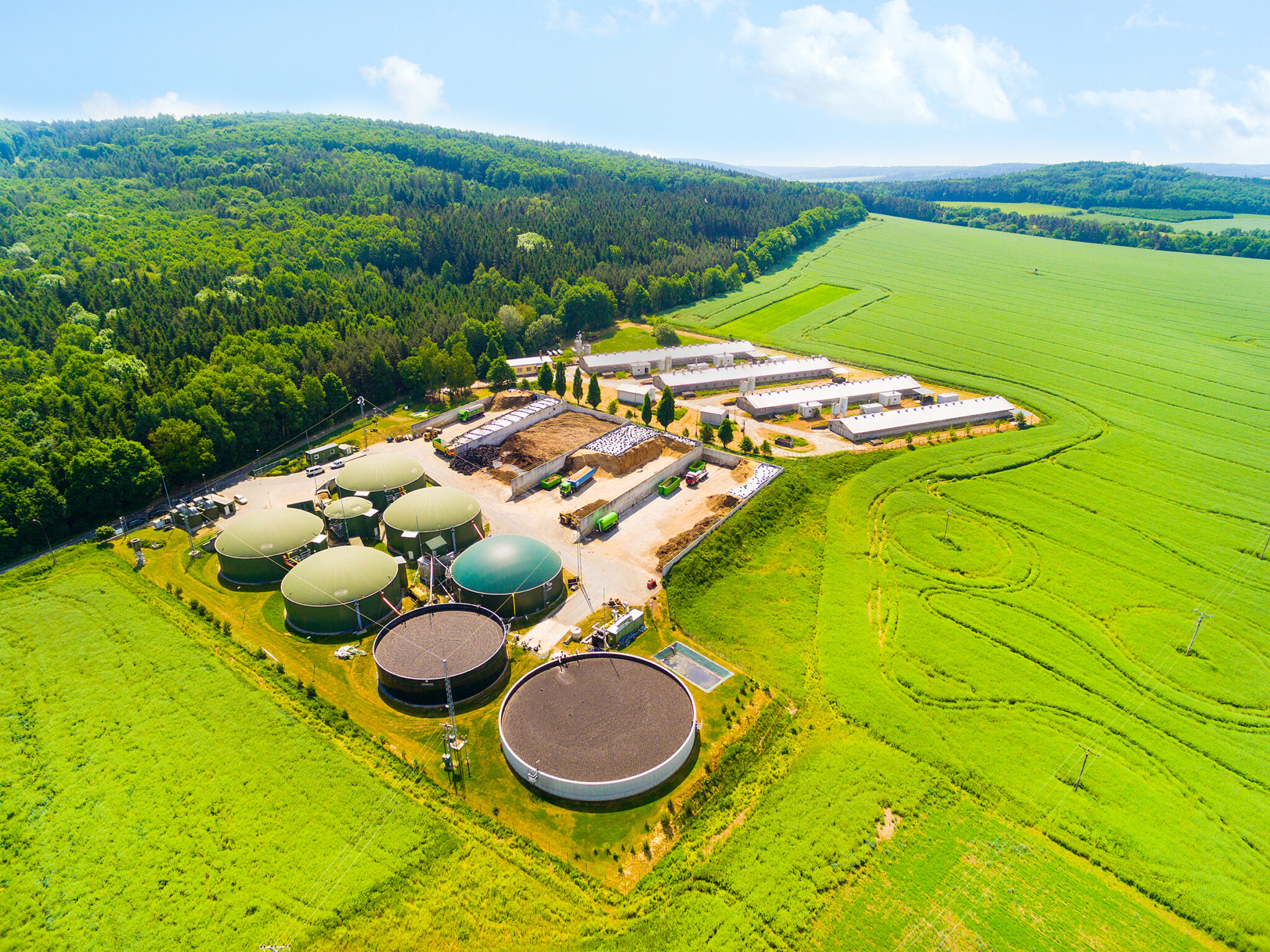 Carbon Offset Project: TMF Biofuels Dairy Digester - Evolve ETFs
